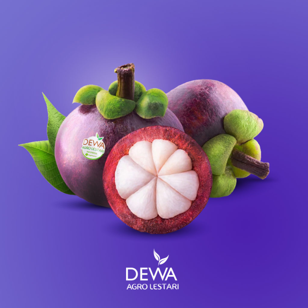 About us - The Agrifresh - Indonesian Fresh Fruit Exporters