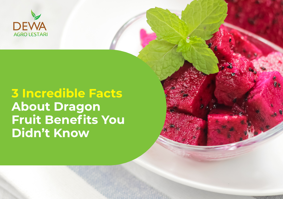 3 Incredible Facts About Dragon Fruit Benefits You Didn t Know Agrifresh